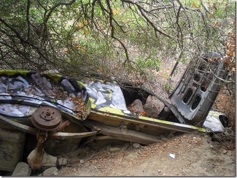 On the Run: Car Wreck Trail